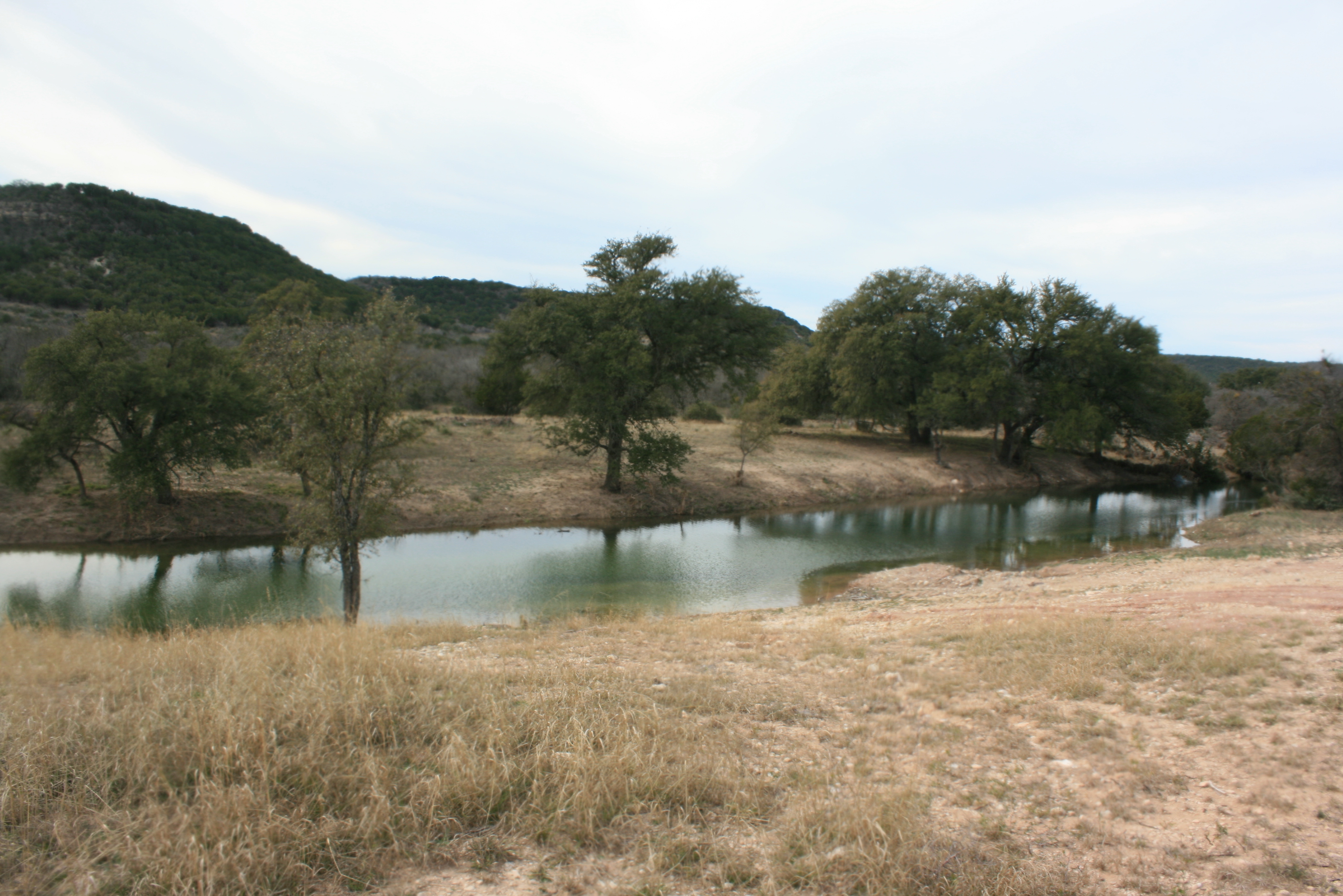 116 acres both sides of Gentry Creek - Hill Country Land Broker